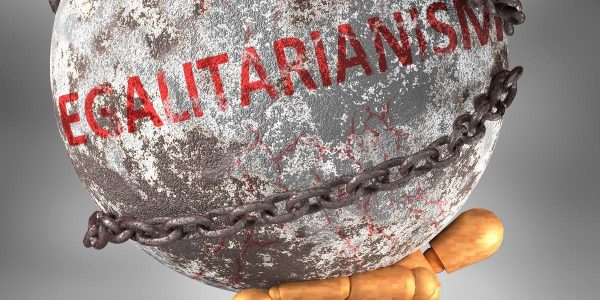 Constitutional Quintessence: The Bulwark Of Liberty And Egalitarianism ...