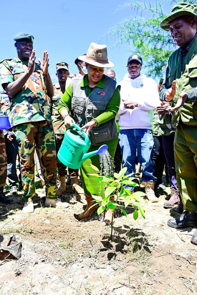 Tourism CS Rebecca Miano Leads Tree Planting Drive In North Kinangop To ...
